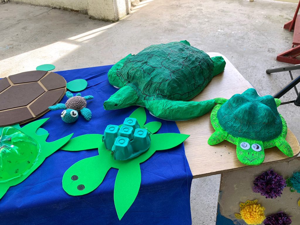 CELEBRACIÓN DÍA MUNDIAL DE LAS TORTUGAS MARINAS EN SEDE EDUCACIÓN ...